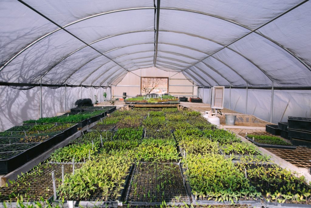 Edible Greenhouse at Windrose Farm - Edible San Luis Obispo