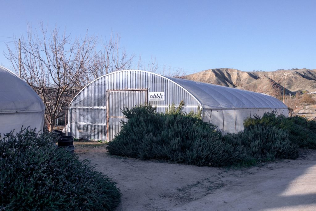 Edible Greenhouse at Windrose Farm - Edible San Luis Obispo