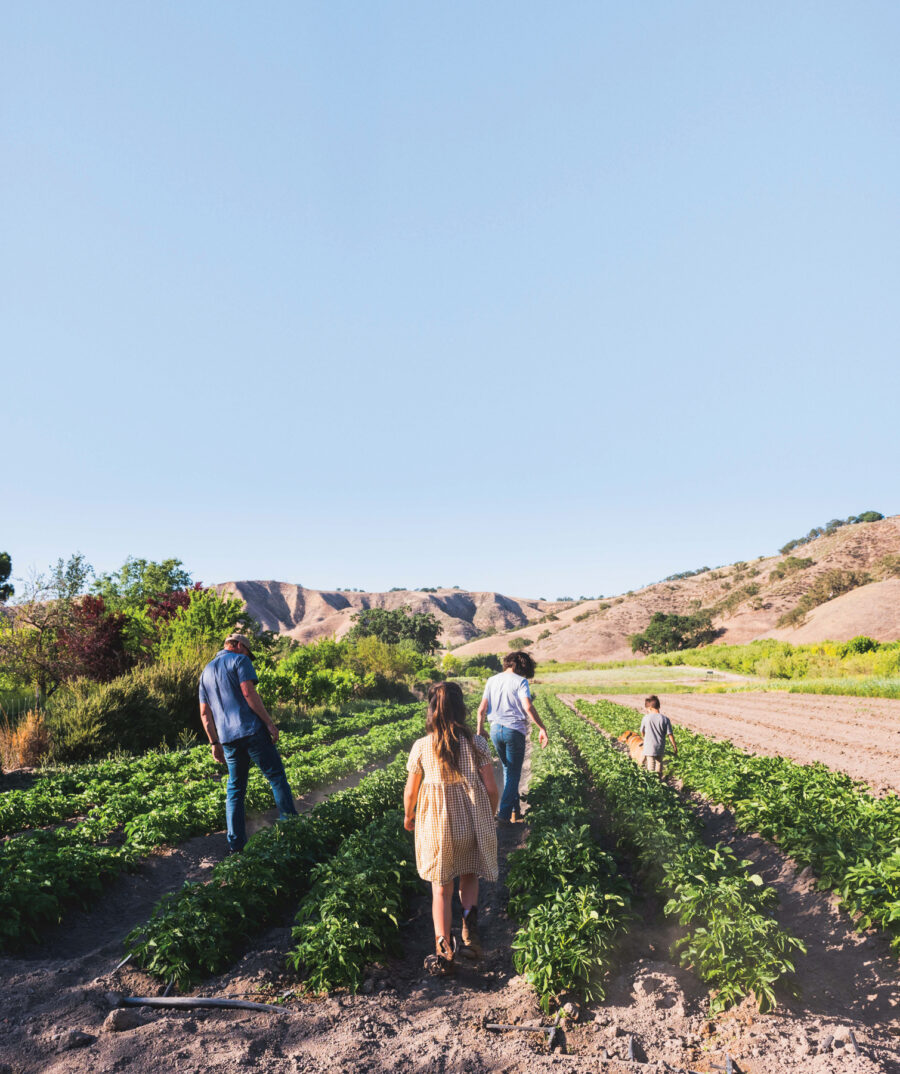 Windrose Farm Is All Grown Up. Now Here’s What’s Next. - Edible San ...