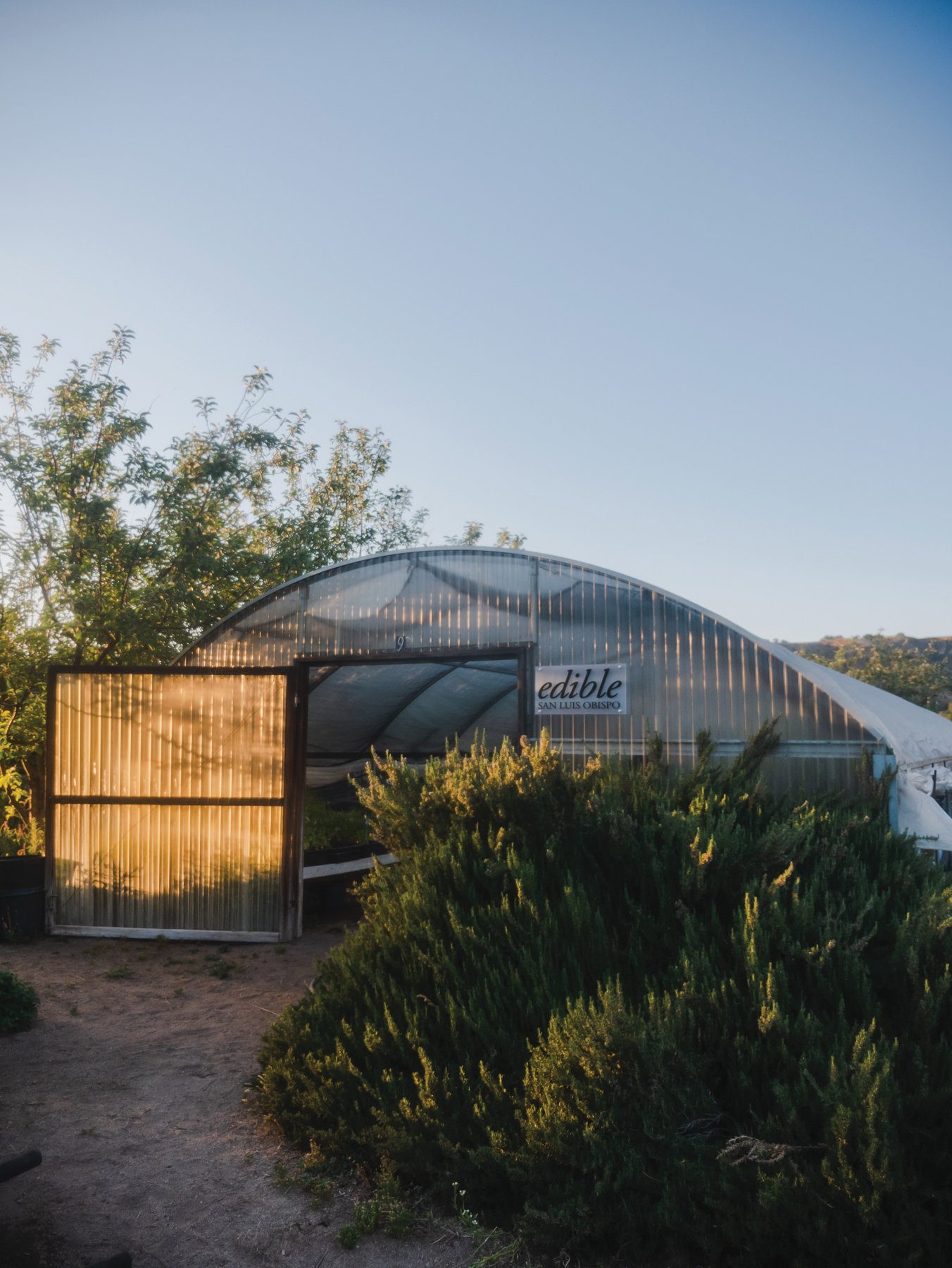 Windrose Farm Is All Grown Up. Now Here’s What’s Next. - Edible San ...