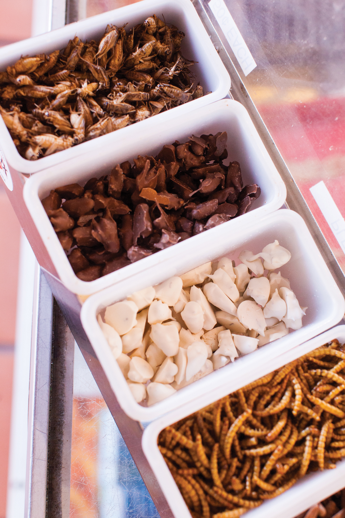 Bon Appétit: Bugs - Edible San Luis Obispo