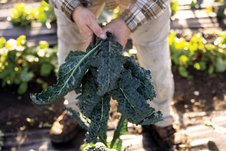 Edible San Luis Obispo - Food and Travel on the Coast of California