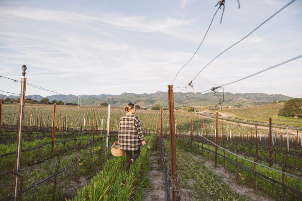 Edible San Luis Obispo - Food and Travel on the Coast of California